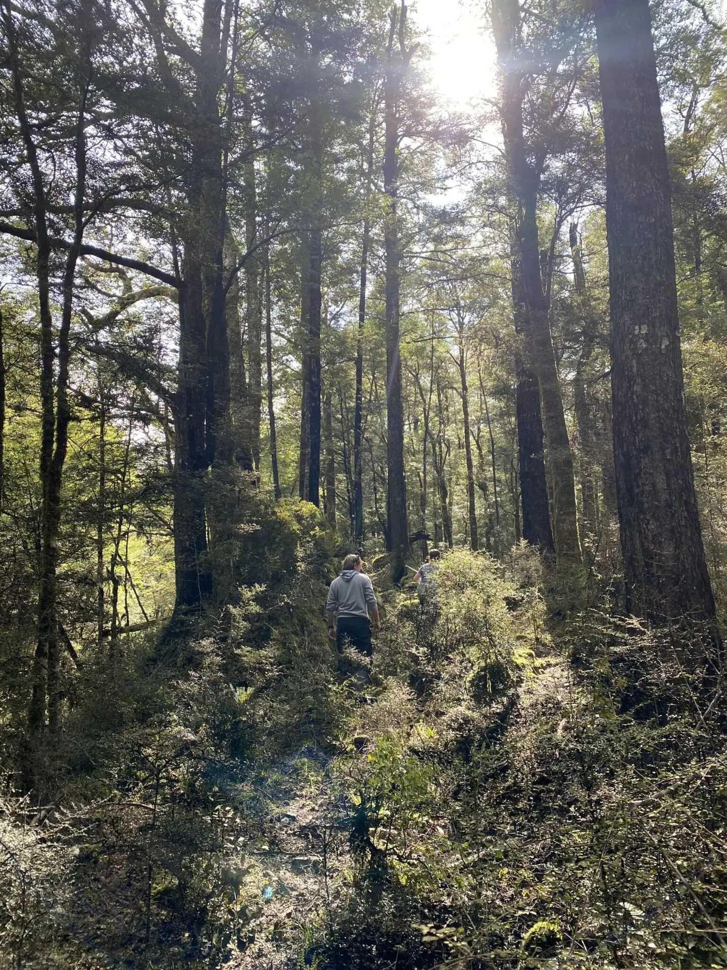 Minimising our Environmental Footprint | LSL Lubrication Solutions